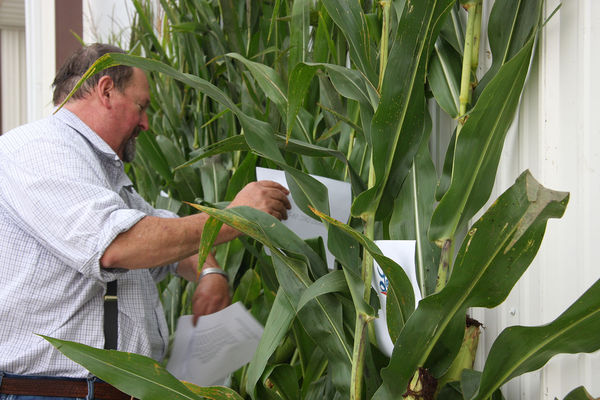 Owens: ‘making corn silage great again’ | News, Sports, Jobs - Farm News